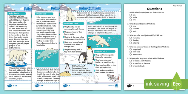 KS1 Polar Animals Differentiated Reading Comprehension