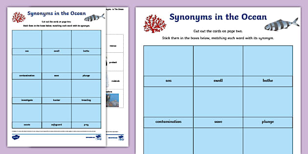 A Place for Plastic: Synonyms for Ocean - KS2 (teacher made)