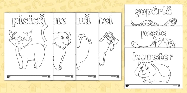 Animale de companie – Desene de colorat (teacher made)