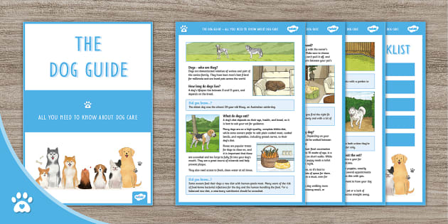 The Ultimate Dog Handbook - Pet Care Guide - Twinkl Pets
