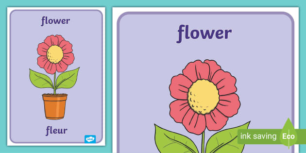 👉 French Word for Flower Display Poster (teacher made)