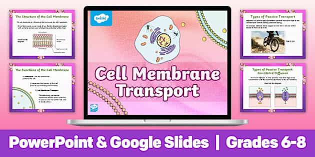 Cell Membrane Active and Passive Transport PowerPoint & GS