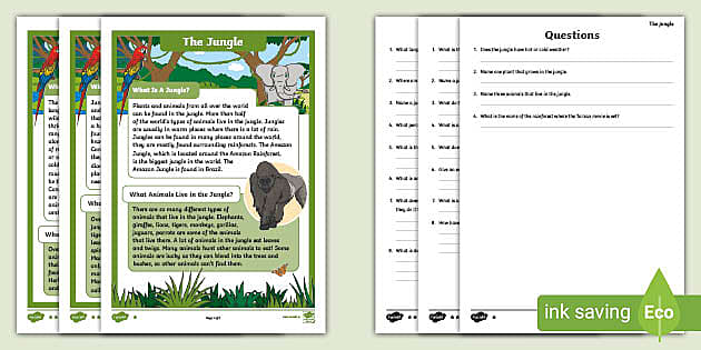 Jungle Journey Differentiated Comprehension (teacher made)