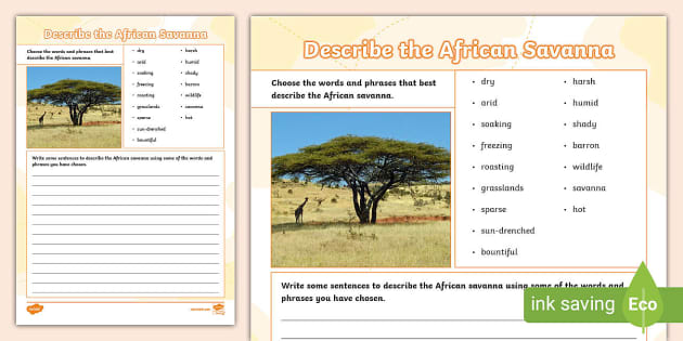 Describe the African Savanna Worksheet - Twinkl