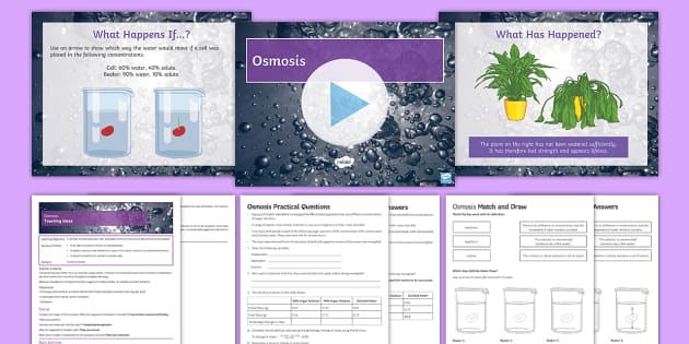 AQA Unit 1 Osmosis Cover Lesson Pack (teacher made) - Twinkl