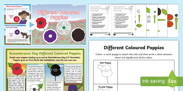 KS1 Different Coloured Poppies Activity Pack (teacher made)