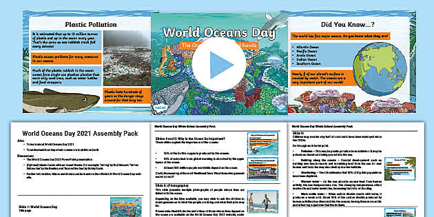 Preserving the Oceans: How to Get Involved