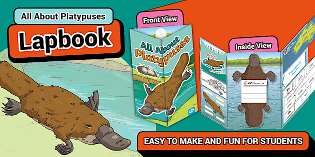 All About Platypuses Lapbook Activity Pack (teacher made)