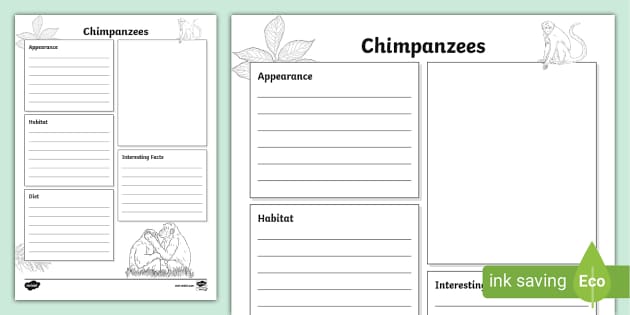 Chimpanzee Fact File Template (teacher made) - Twinkl