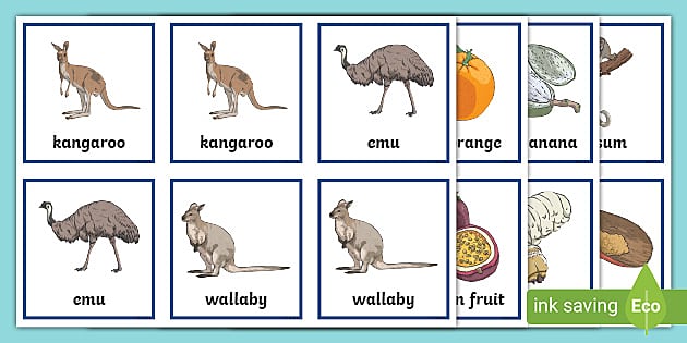 Traditional Aboriginal and Torres Strait Islander Peoples Foods Pairs ...