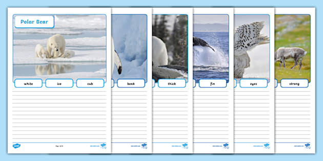 Cold Climate Animals Simple Sentence Photo Worksheets