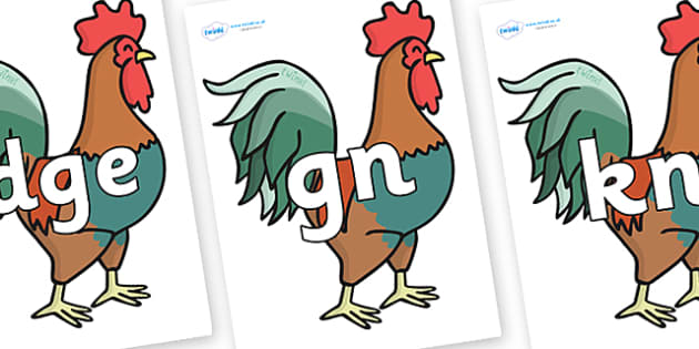 Silent Letters on Rooster (teacher made) - Twinkl