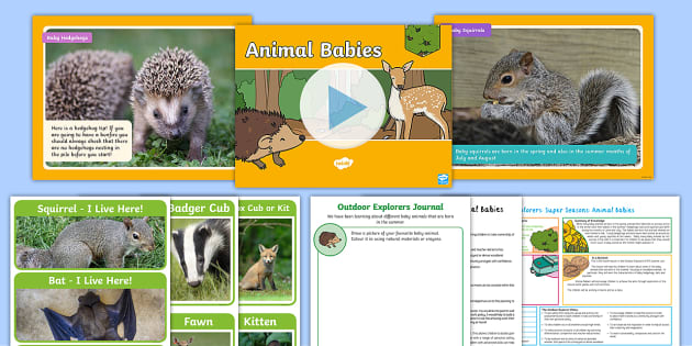 Outdoor Explorers Lesson 4 EYFS Animal Babies Lesson Pack