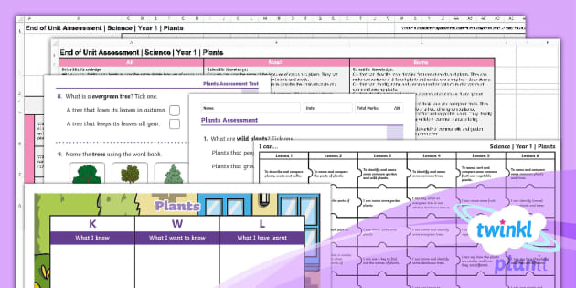 Science: Plants: Assessment Pack Year 1 (teacher made)
