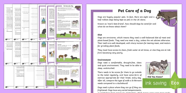 Pet Care of a Dog Differentiated Reading Comprehension Activity