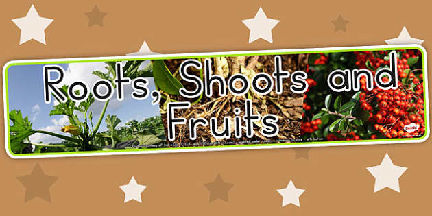 Roots Shoots and Fruits Photo Display Banner - Twinkl