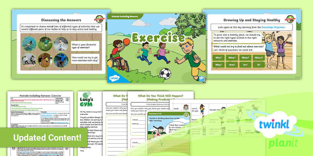 Science: Animals Including Humans: Exercise Year 2 Lesson 5