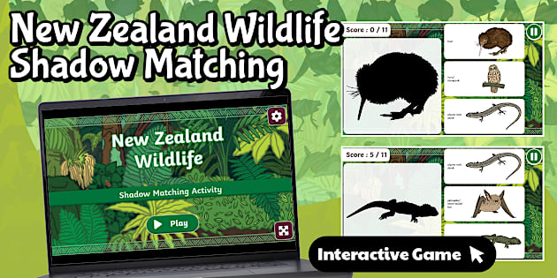 New Zealand Wildlife Shadow Matching
