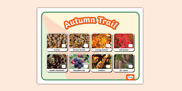 Autumn Trail Checklist Display Poster - Twinkl