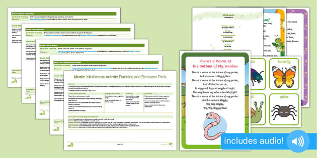 EYFS Music: Minibeasts Activity Planning and Resource Pack