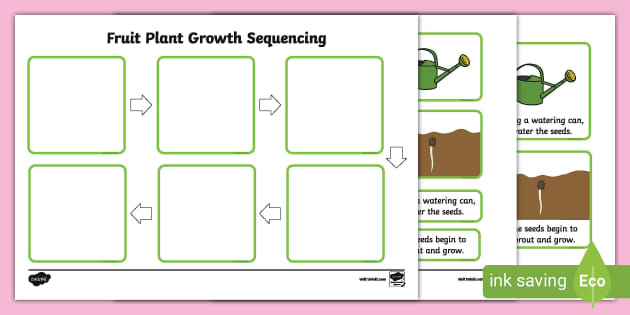 How Plants Grow Sequencing Activity (teacher made)