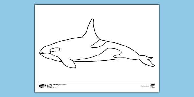 coloring pages of killer whales