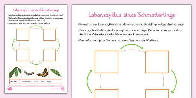 Lebenszyklus eines Schmetterlings (teacher made) - Twinkl Lebenszyklus eines Schmetterlings (teacher made) - Twinkl