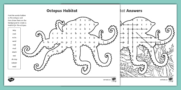 Octopus Habitat Word Search and Drawing Activity Sheet
