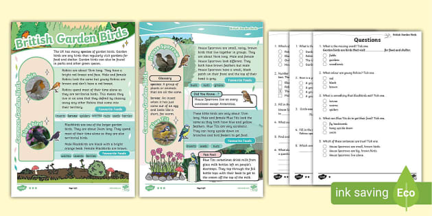 KS1 British Garden Birds Differentiated Reading Activity