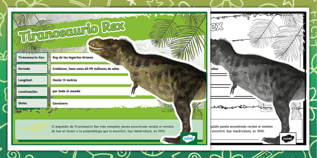 Póster: El Tiranosaurio Rex (teacher made) - Twinkl