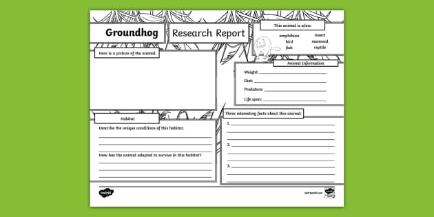 Groundhog Research Report for 3rd-5th Grade - Twinkl