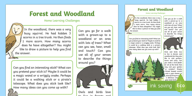 EYFS: Forest and Woodland Home Learning Challenges Nursery FS1