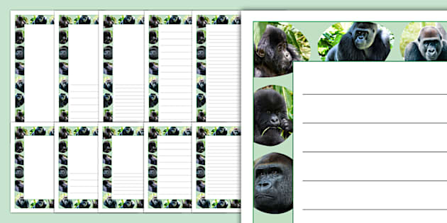 Gorilla Photo Page Borders - KS1 - Twinkl