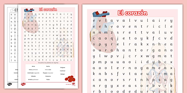 Sopa de letras: El corazón | Recursos Educativos Twinkl