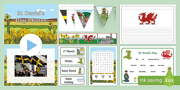 Saint David's Day Resource Pack (Twinkl-Made) (teacher made)