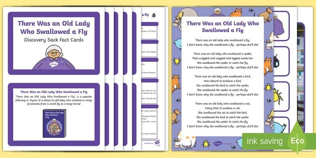 There Was an Old Lady Who Swallowed a Fly Discovery Sack