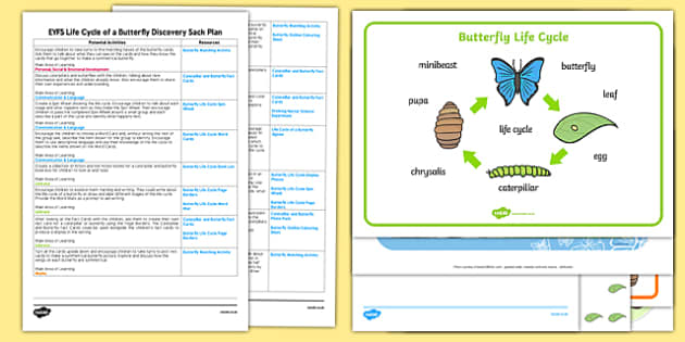 EYFS Life Cycle of a Butterfly Discovery Sack Plan and Resource Pack