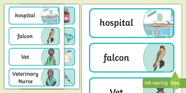 Falcon Hospital Role Play Vocabulary Cards (teacher made)