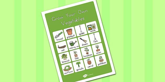 Grow Your Own Vegetables Vocabulary Poster Mat - Twinkl