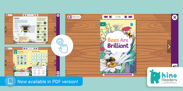 Level 6c Decodable Readers: Bees Are Brilliant - Twinkl