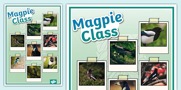 Magpies Class Photo Display Poster (teacher made) - Twinkl
