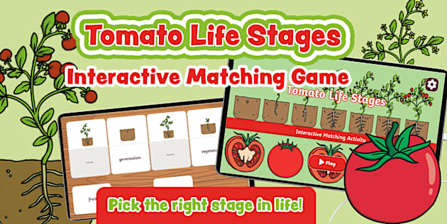 Tomato Life Stages Interactive Matching Game