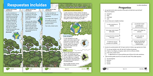 Comprensión lectora por niveles: La selva amazónica