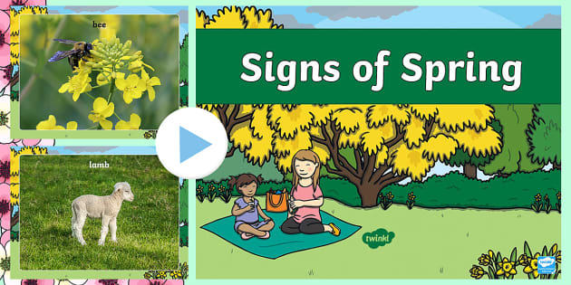 Spring Aistear Signs of Spring PowerPoint (teacher made)