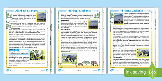 Fantastic Elephant Activities for Kids