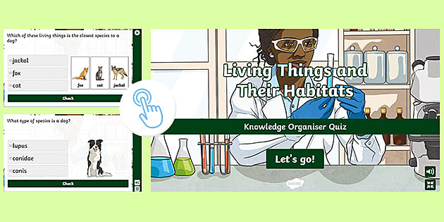 Interactive Living Things Quiz | Year 6 Science - Twinkl