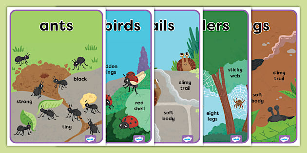 Originals First Words Posters: Minibeasts Adjectives