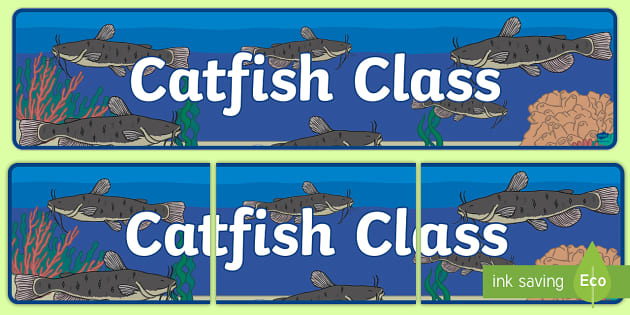 Catfish Class Display Banner (Hecho por educadores) - Twinkl Catfish Class Display Banner (Hecho por educadores) - Twinkl