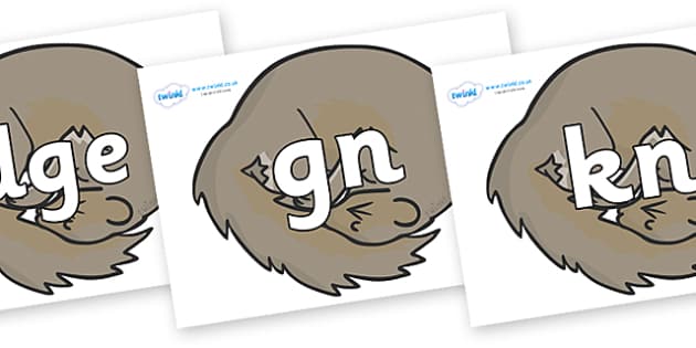 Silent Letters on Grey Squirrels (teacher made) - Twinkl