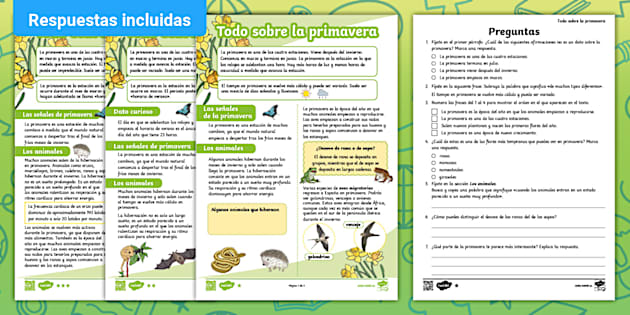 Comprensión lectora por niveles: Todo sobre la primavera